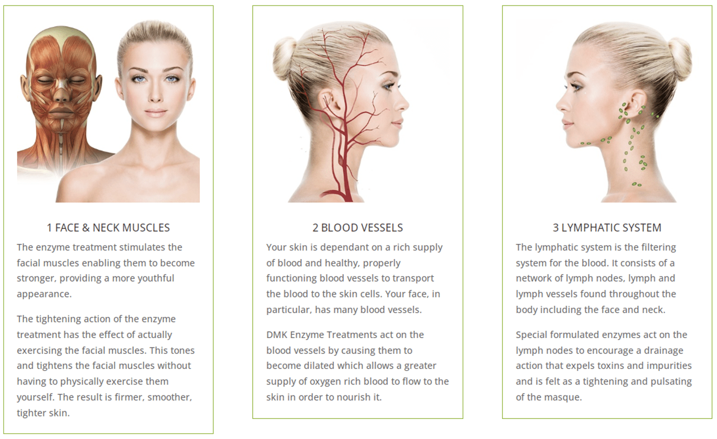 DMK Enzyme Therapy - SkinRX Aesthetic Clinic PTY (LTD)