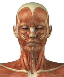 DMK Muscle Banding Treatment - SkinRX Aesthetic Clinic PTY (LTD)